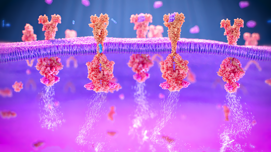 Digital Storytelling Through Medical Animation - ACM SIGGRAPH Blog